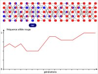 (Animation) Dérive génétique - TICE les SVT
